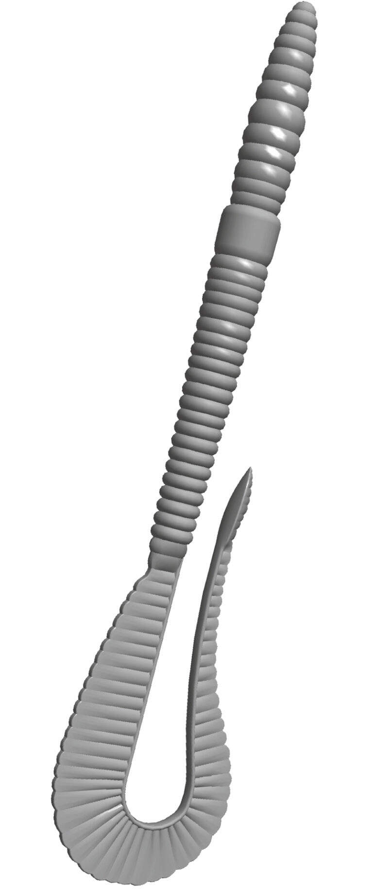 BASS CRAZY TWIST TAIL WORM – Producent sztucznych przynęt wędkarskich